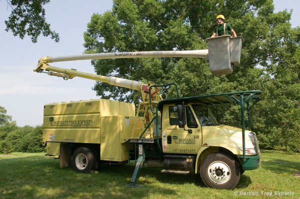 BARTLETT TREE EXPERTS - Updated November 2025 - 48 Photos - Manassas ...
