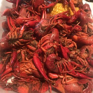 JIVE BAR & LOUNGE - 47 Photos & 68 Reviews - 8684 Louetta Rd, Spring ...