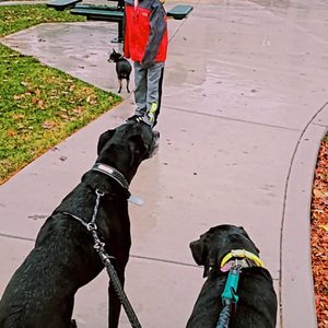 LAKE TRASK TIMBER TRAILS ASSOCIATION - Updated September 2025 - 15 ...