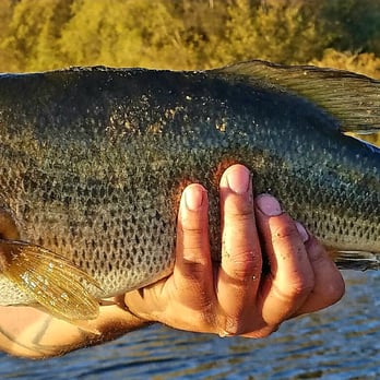 PINTO LAKE CITY PARK & RV PARK - Updated January 2026 - 101 Photos & 79 ...