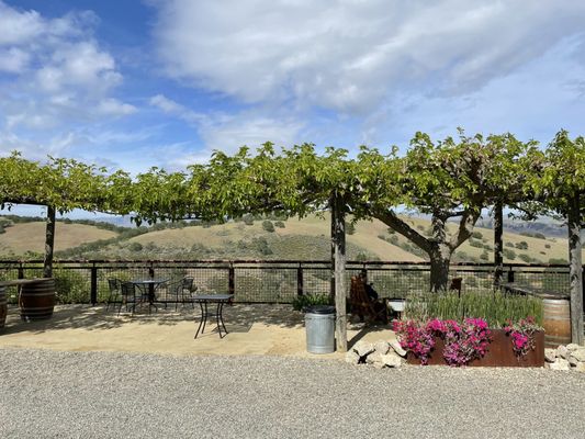 CALERA WINE - Updated December 2025 - 149 Photos & 71 Reviews - 11300 ...