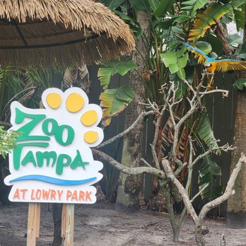 ZOOTAMPA AT LOWRY PARK - Updated February 2025 - 2238 Photos & 660 ...