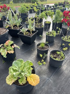 WEST BOCA BRANCH LIBRARY - Updated December 2025 - 17 Photos & 11 ...