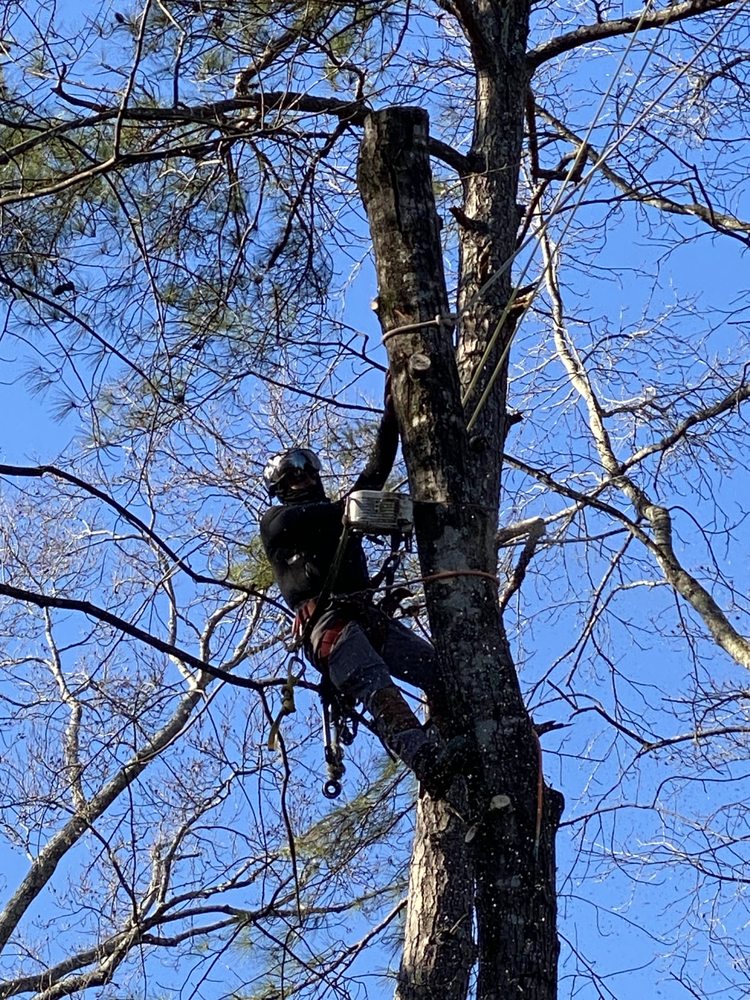 GTS TREE PROFESSIONALS - Updated January 2025 - Request a Quote - 10 ...