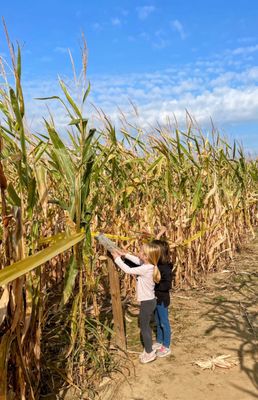 ECKERT’S ORCHARD - Updated September 2025 - 135 Photos & 64 Reviews ...