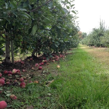 CRANE ORCHARDS - Updated October 2025 - 39 Photos & 37 Reviews - 6054 ...