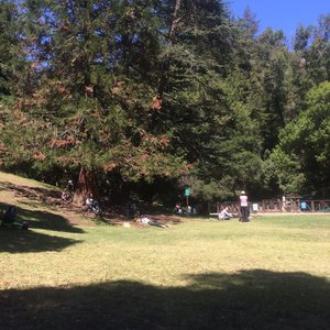 CODORNICES PARK - 157 Photos & 152 Reviews - 1201 Euclid Ave, Berkeley ...