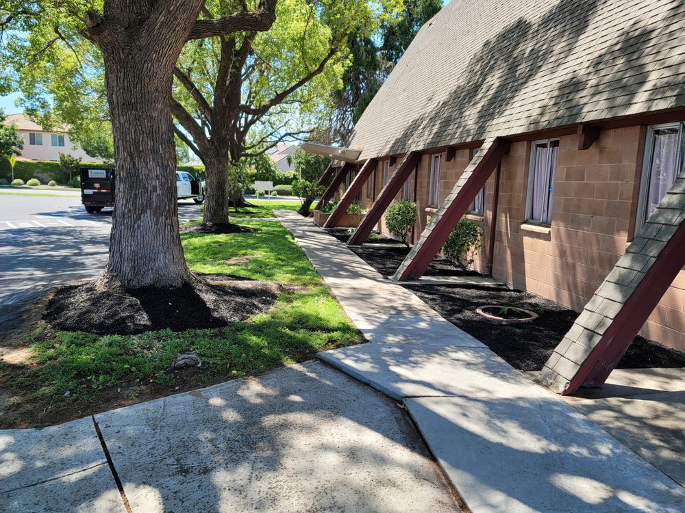 LONGVIEW LANDSCAPE - Updated September 2025 - 91 Photos - Lathrop ...