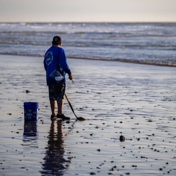 OCEANO DUNES STATE VEHICULAR RECREATION AREA - Updated November 2025 ...