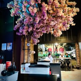 SAKU RAMEN - Updated March 2025 - 687 Photos & 921 Reviews - 3643 Main ...