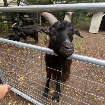 BEASLEY FARM - Updated October 2025 - 41 Photos & 16 Reviews - 10137 ...