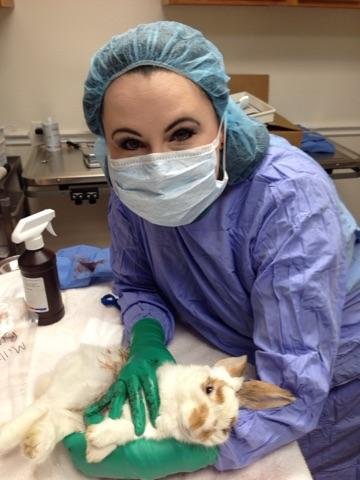 MAIN STREET VETERINARY HOSPITAL - Updated December 2025 - 18 Photos ...