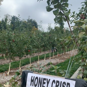 PARLEE FARMS - Updated November 2024 - 296 Photos & 146 Reviews - 95 ...