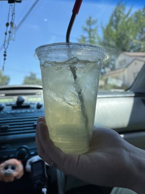 MOUNTAIN GROUNDS - Updated August 2025 - 268 Photos & 393 Reviews ...