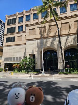 ALII PLACE - Updated January 2026 - 104 Photos & 29 Reviews - 1099 ...