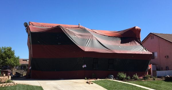 PRO PACIFIC PEST CONTROL - Updated December 2025 - 52 Photos & 293 ...