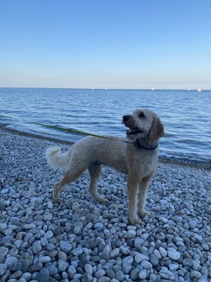 SOUTH SHELL PARK - Updated October 2025 - 3376 Lakeshore Rd W, Oakville ...