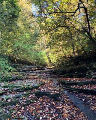 RAVEN RUN NATURE SANCTUARY - 288 Photos & 43 Reviews - 3990 Raven Run ...