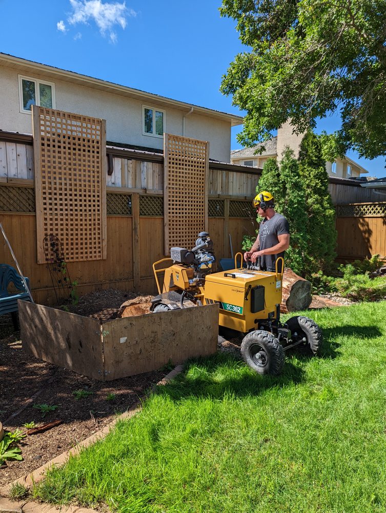 CYPRESS TREE CARE & LANDSCAPING - Updated May 2026 - Request a Quote ...