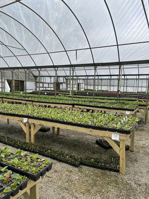 DIGGER O’DELL NURSERIES - Updated January 2026 - 55 Photos & 14 Reviews ...