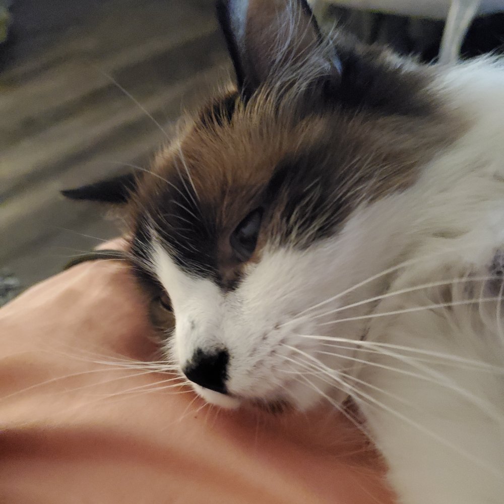 MISSION’S FLEA MARKET - Updated December 2025 - 2260 Mission St, San ...