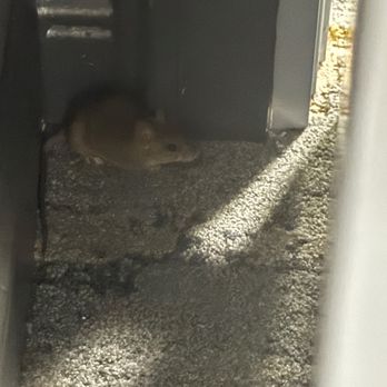 STATE THOMAS RAVELLO - DALLAS - Updated December 2025 - 87 Photos & 83 ...