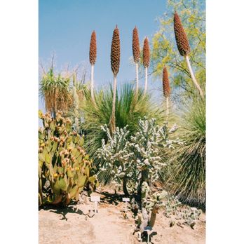 UCR BOTANIC GARDENS - Updated January 2025 - 604 Photos & 125 Reviews ...