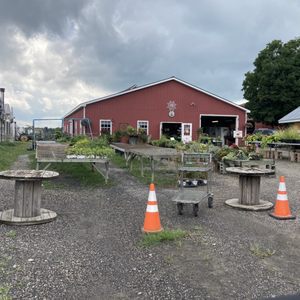 ADAMS FAIRACRE FARMS - Updated December 2024 - 486 Photos & 116 Reviews ...