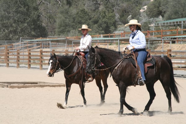 HORSE OF THE SUN RANCH - Updated September 2025 - 11 Photos - 28271 Old ...
