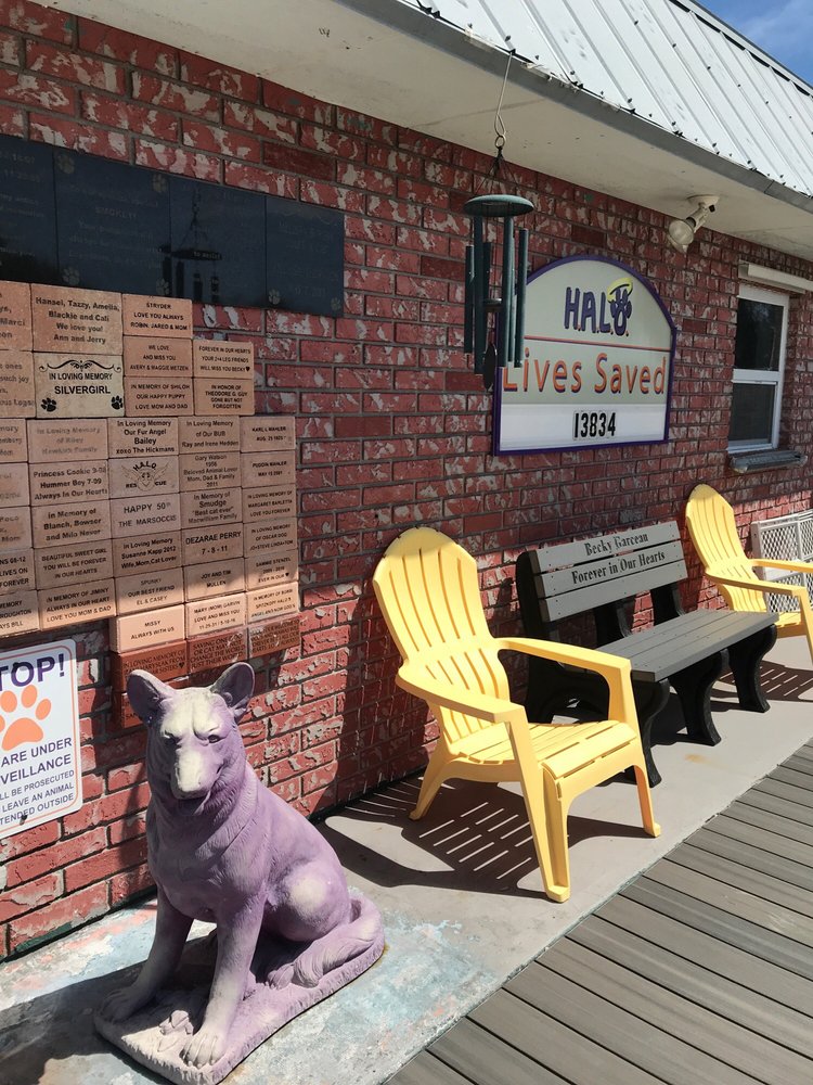 HALO RESCUE - 22 Photos & 11 Reviews - 710 Jackson St, Sebastian ...