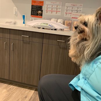 THURMAN VETERINARY CENTER - Updated December 2024 - 96 Photos & 130 ...