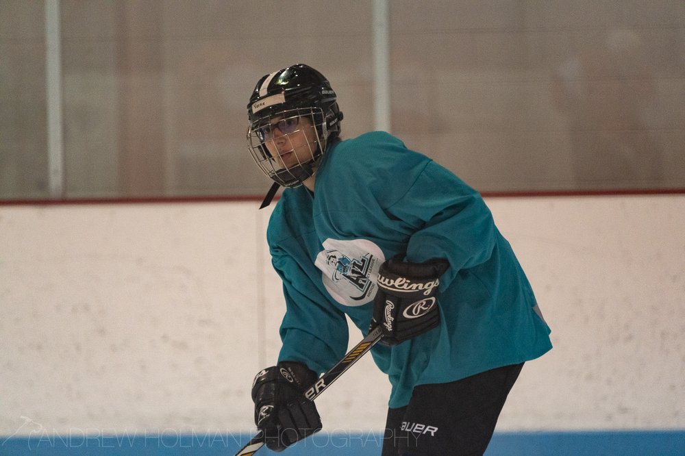 DEMPSEY-ANDERSON ICE ARENA - Updated November 2025 - 46 Photos - 1741 W ...