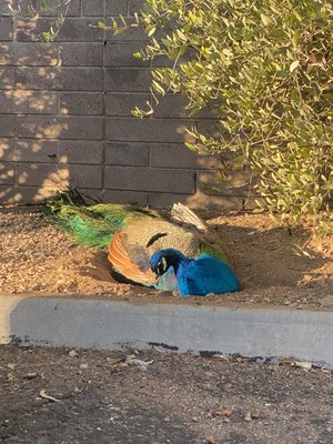 GLENDALE PUBLIC LIBRARY - Updated October 2025 - 89 Photos & 21 Reviews ...