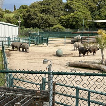 VISION QUEST RANCH - Updated November 2025 - 827 Photos & 320 Reviews ...