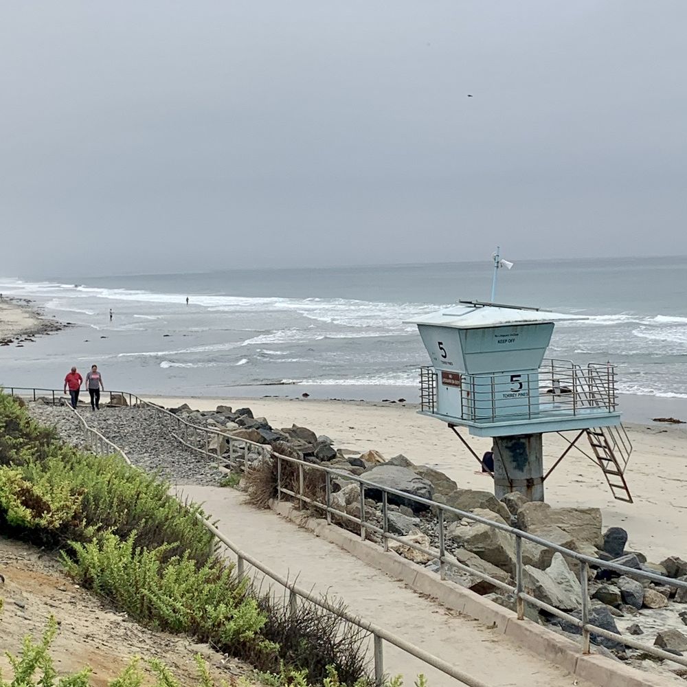 Ucsd Campus Beach
