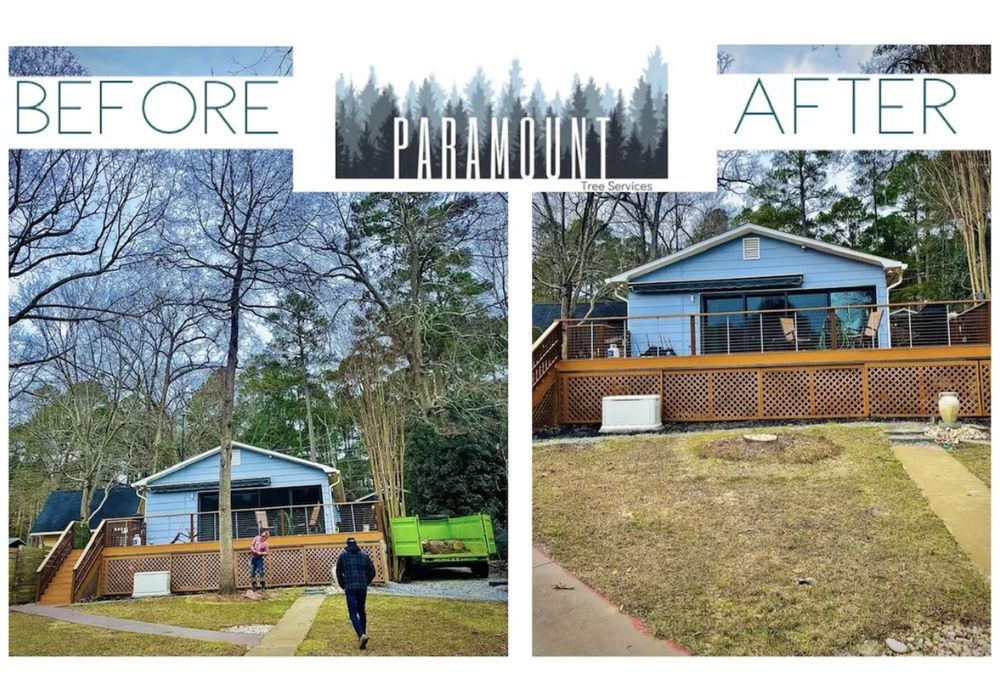 PARAMOUNT TREE SERVICES - Updated September 2024 - 14 Photos - 6 ...