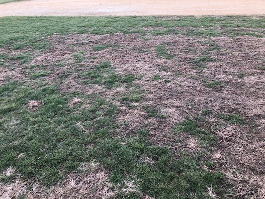 TRUGREEN LAWN CARE - Updated January 2026 - 40 Photos & 132 Reviews ...