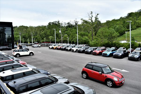 CINCINNATI MINI - Updated October 2025 - 17 Photos & 12 Reviews - 6131 ...