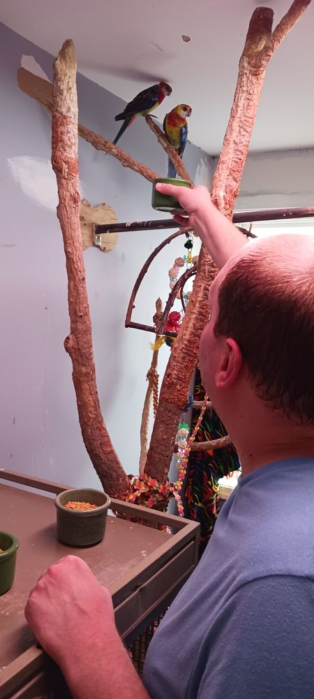 ALBATROSS AVIARY - Updated October 2025 - Request Information - 19 ...