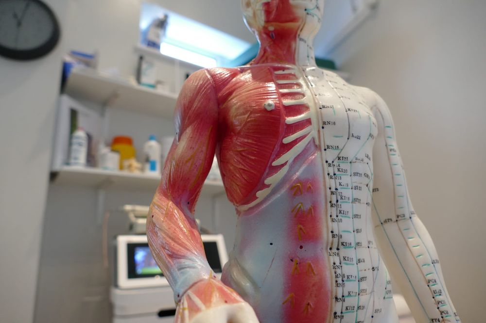 SPINE PLUS - 49 Photos - 2a Oak Lodge Ave, Chigwell, Essex, United ...