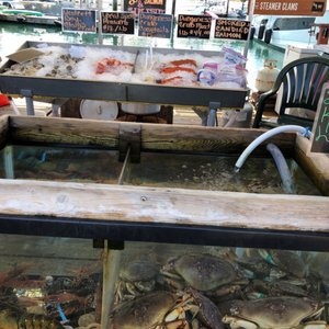 BUCK BAY SHELLFISH FARM - 235 Photos & 137 Reviews - Seafood Markets ...