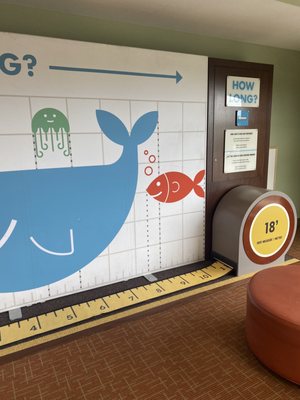 BOONE COUNTY PUBLIC LIBRARY - MAIN LIBRARY - Updated July 2025 - 35 ...