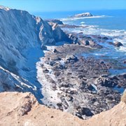 TOMALES POINT TRAIL - TULE ELK PRESERVE - 940 Photos & 135 Reviews ...