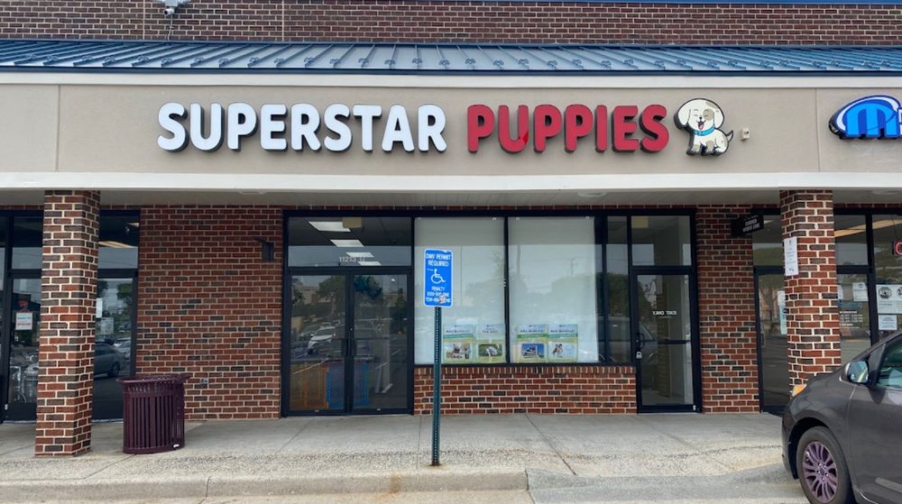 SUPERSTAR PUPPIES - Updated January 2026 - 15 Reviews - 11213 Lee Hwy, Fairfax, Virginia - Pet ...
