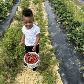 MILLER FARMS - Updated September 2024 - 262 Photos & 216 Reviews ...