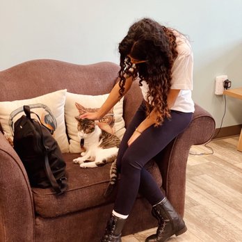 MEOWS CORNER - Updated October 2025 - 47 Photos & 39 Reviews - 21435 ...