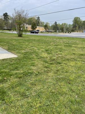 CLEARDEFENSE PEST CONTROL - 35 Photos & 35 Reviews - 4324 Barringer Dr ...