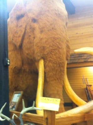 AHLMAN GUNS - Updated December 2025 - 13 Reviews - 9525 230th St W ...