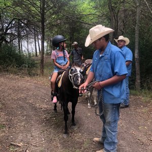 RIVER RANCH TEXAS HORSE PARK - 62 Photos & 23 Reviews - 811 Pemberton ...