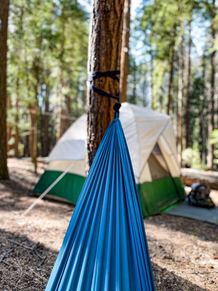 SENTINEL CAMPGROUND - Updated October 2025 - 43 Photos & 20 Reviews ...